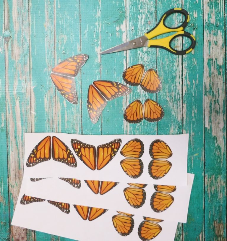 Butterfly Fidget Spinner DIY Tutorial with Free Printable - Morena's Corner