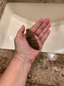 Fake Poop Prank DIY - Morena's Corner