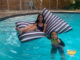 Bean Bag Pool Float Tutorial - Morena's Corner